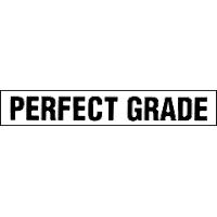 PG Perfect Grade – Nii G Shop